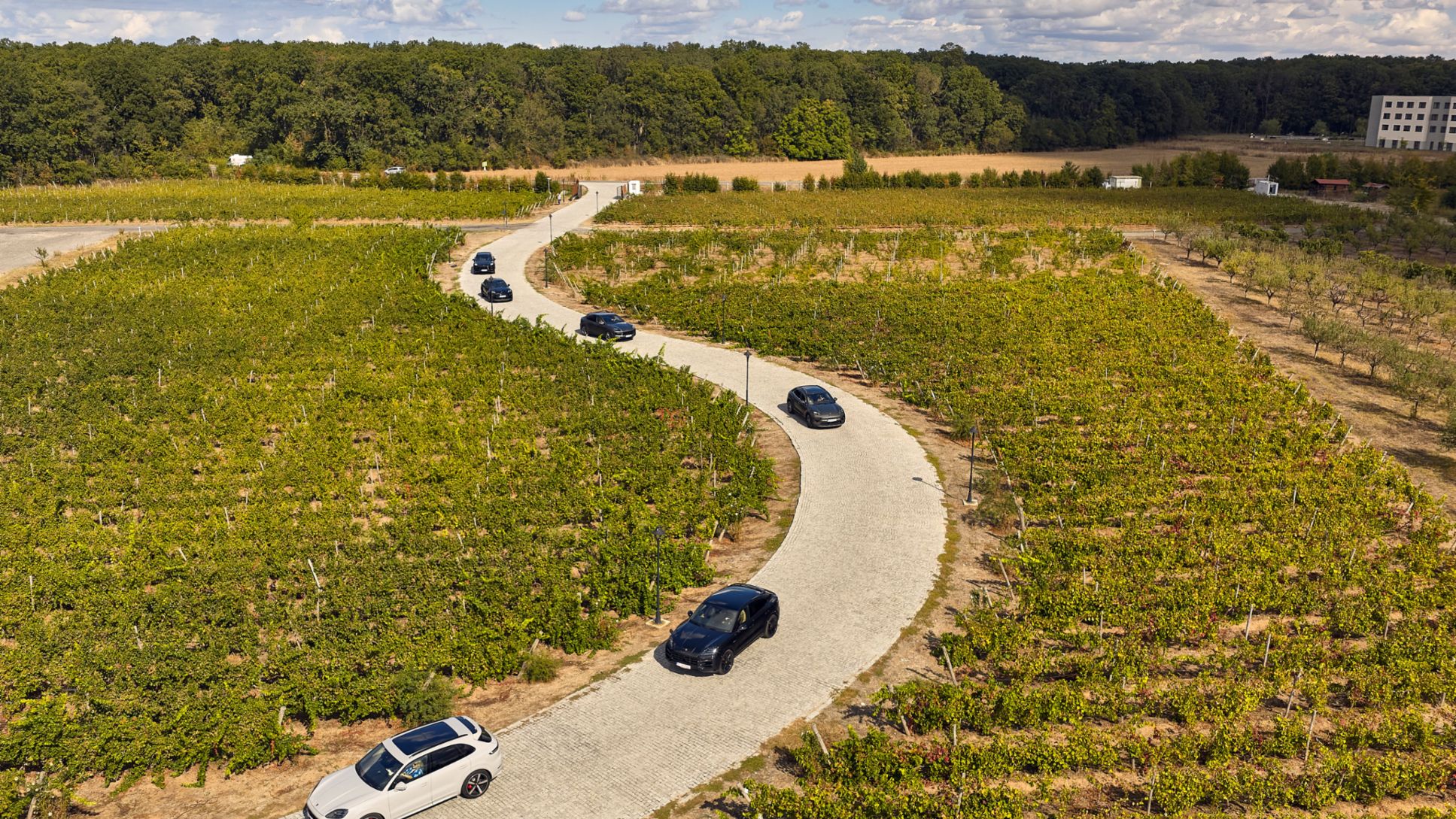 Autumn Ladies Drive - Porsche Newsroom