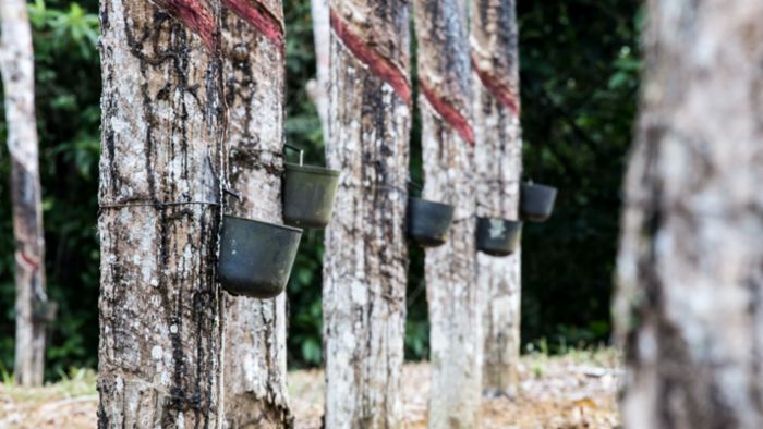 CASCADE - Porsche Newsroom